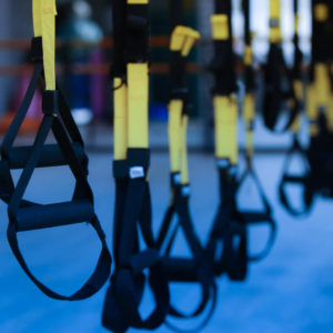 Core Training for Surfers – High Performance Foundations | Surf ...