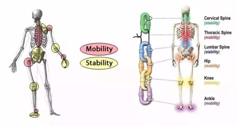 Surfing Stretches: How To Improve Your Flexibility for Good