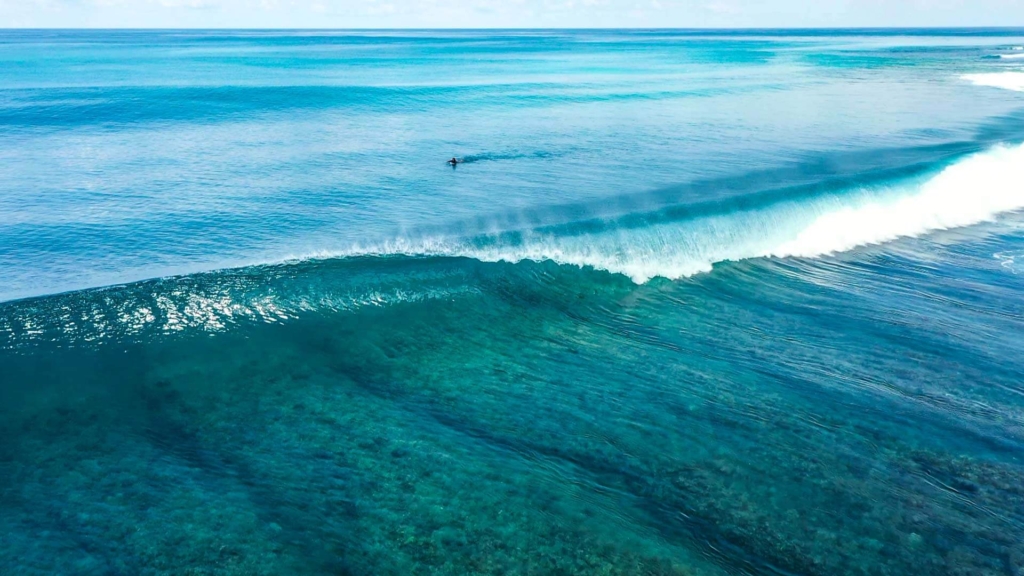Master the Perfect Surf Stance | Tips and Techniques
